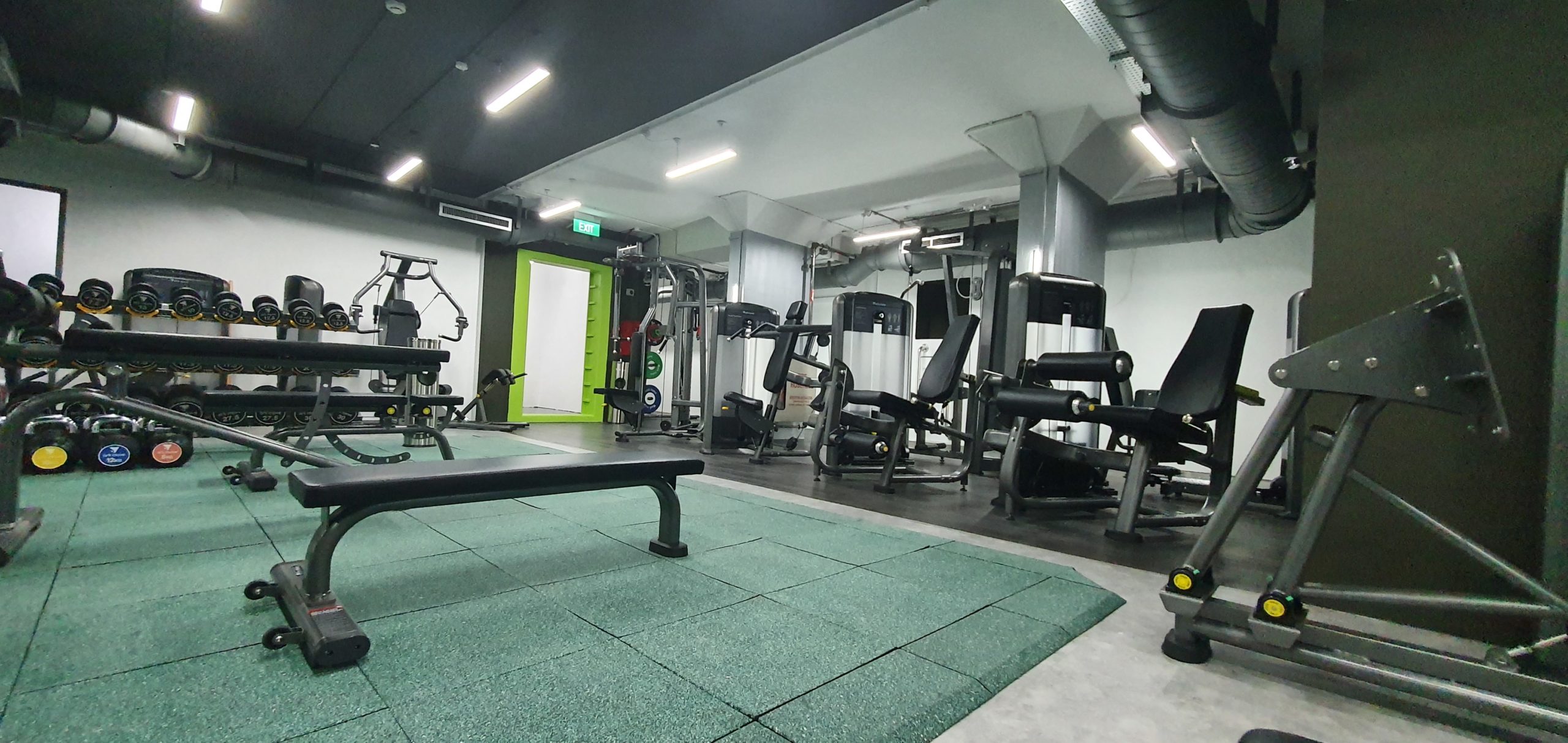 Ark Grit – Grit, Gut, Glory